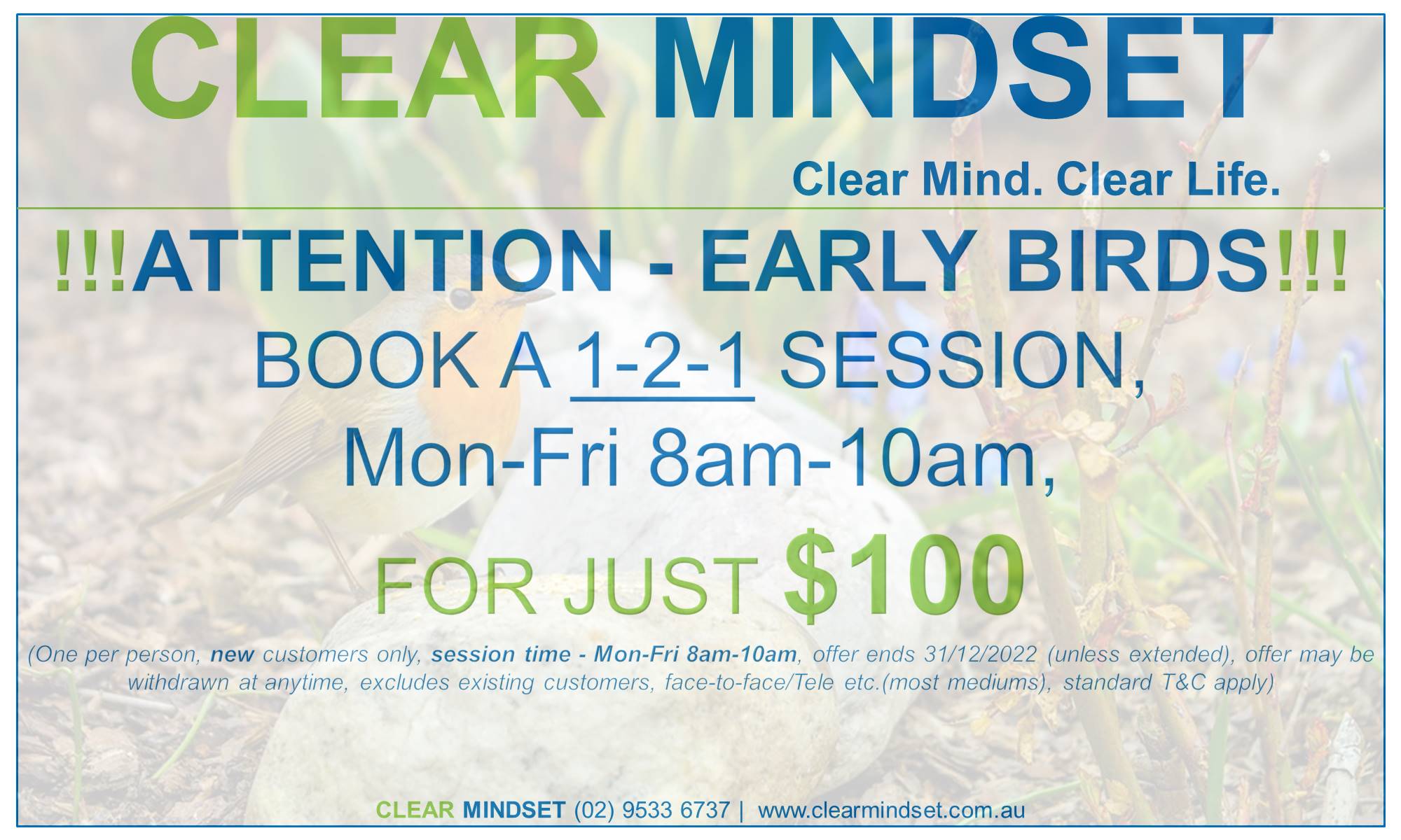 Mindset – CLEAR MINDSET